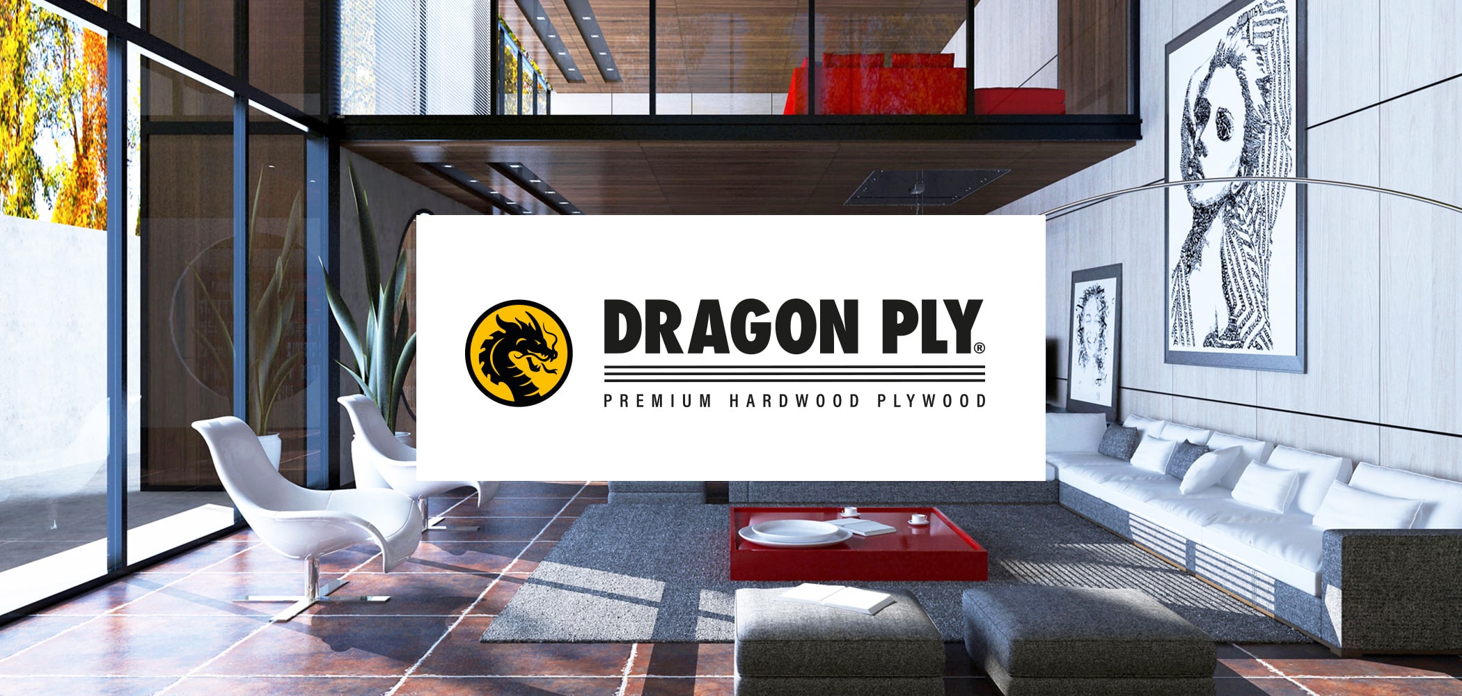 Dragon Ply - Rugby